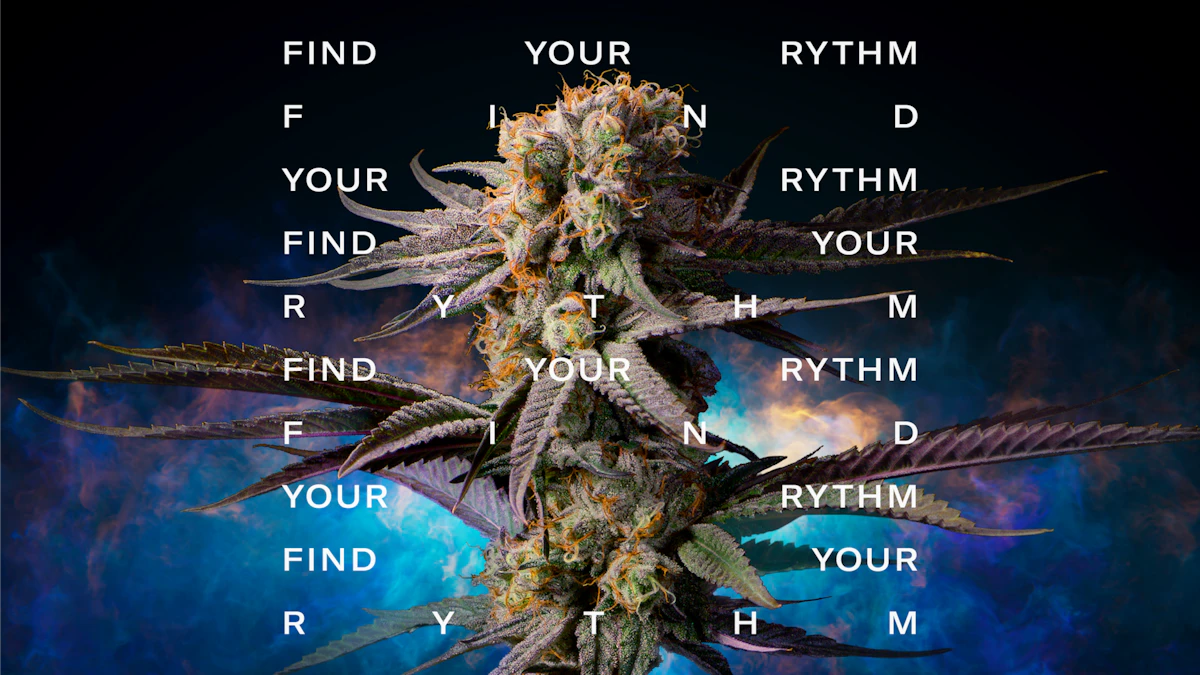 RYTHM — MONO